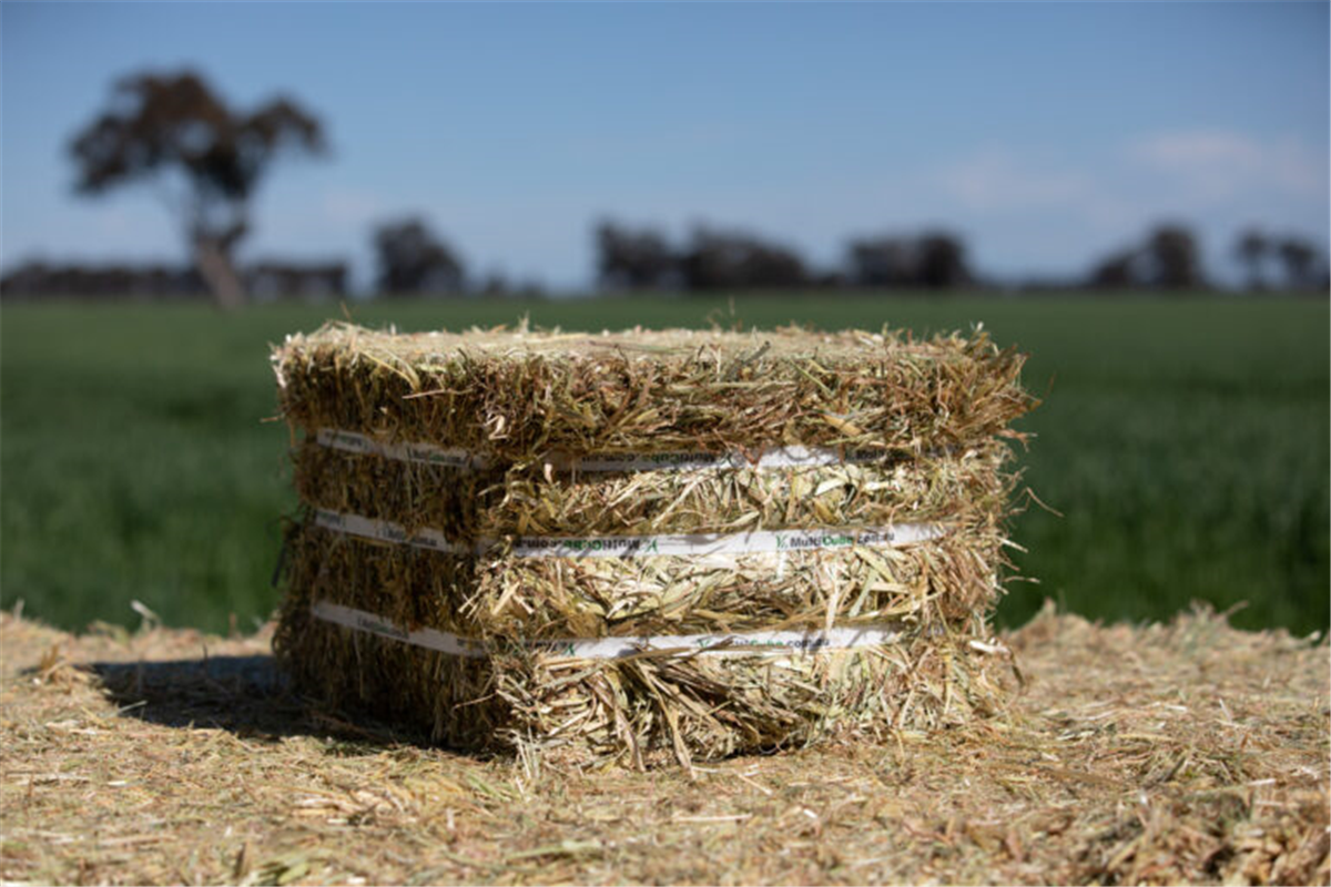 Hay Oaten Compressed Victoria Bale - Raymonds Warehouse