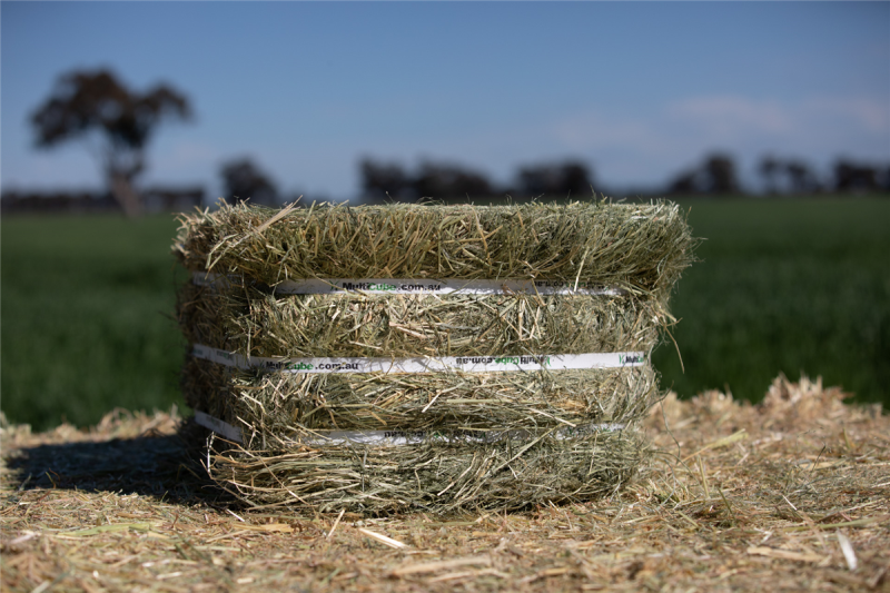 Hay Teff Grass Compressed Victoria Bale - Raymonds Warehouse