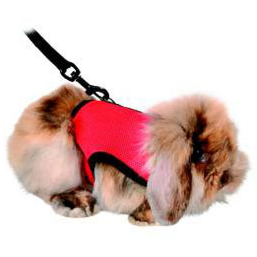 Trixie Soft Small Pet Harness & Lead | Raymonds Warehouse