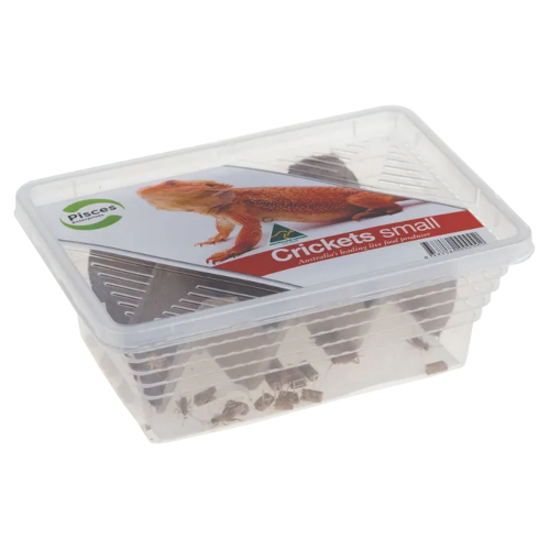 Pisces Crickets - Raymonds Warehouse