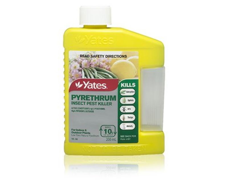Yates Pyrethrum Insect Pest Killer Concentrate 200ml | Raymonds Warehouse