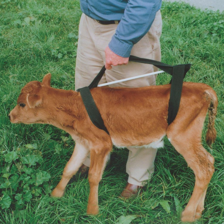 Shoof Griffiths Calf Sling | Raymonds Warehouse